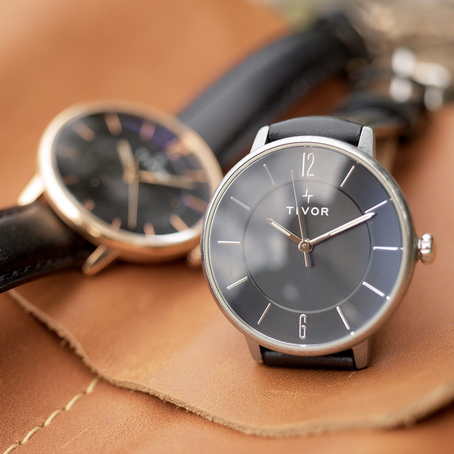 TIVOR Watches - Mushroom Projects